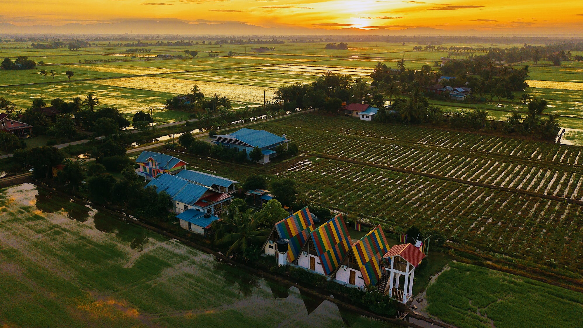 "Padi Hijau" Homestay di Parit 8 Timur, Sungai Besar - Tempat Rehat ...