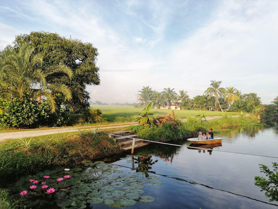 "Padi Hijau" Homestay di Parit 8 Timur, Sungai Besar - Tempat Rehat ...