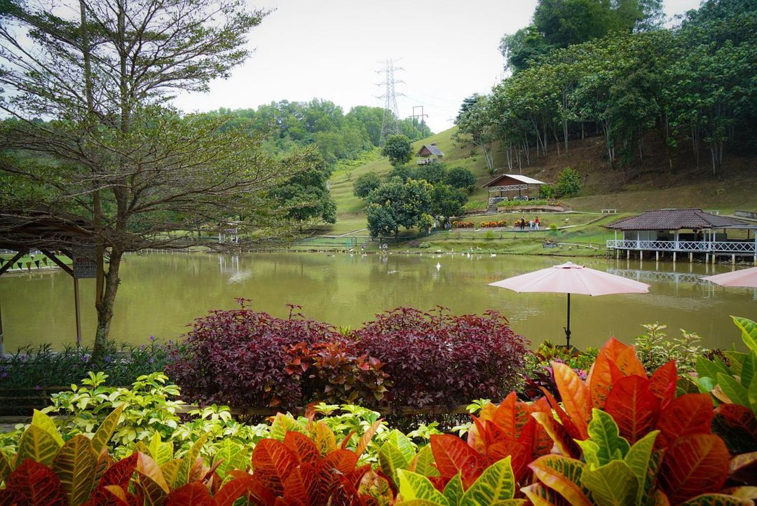 Kunjungi Bukit Jelutong Eco Community di Shah Alam, Tempat Terbaik ...