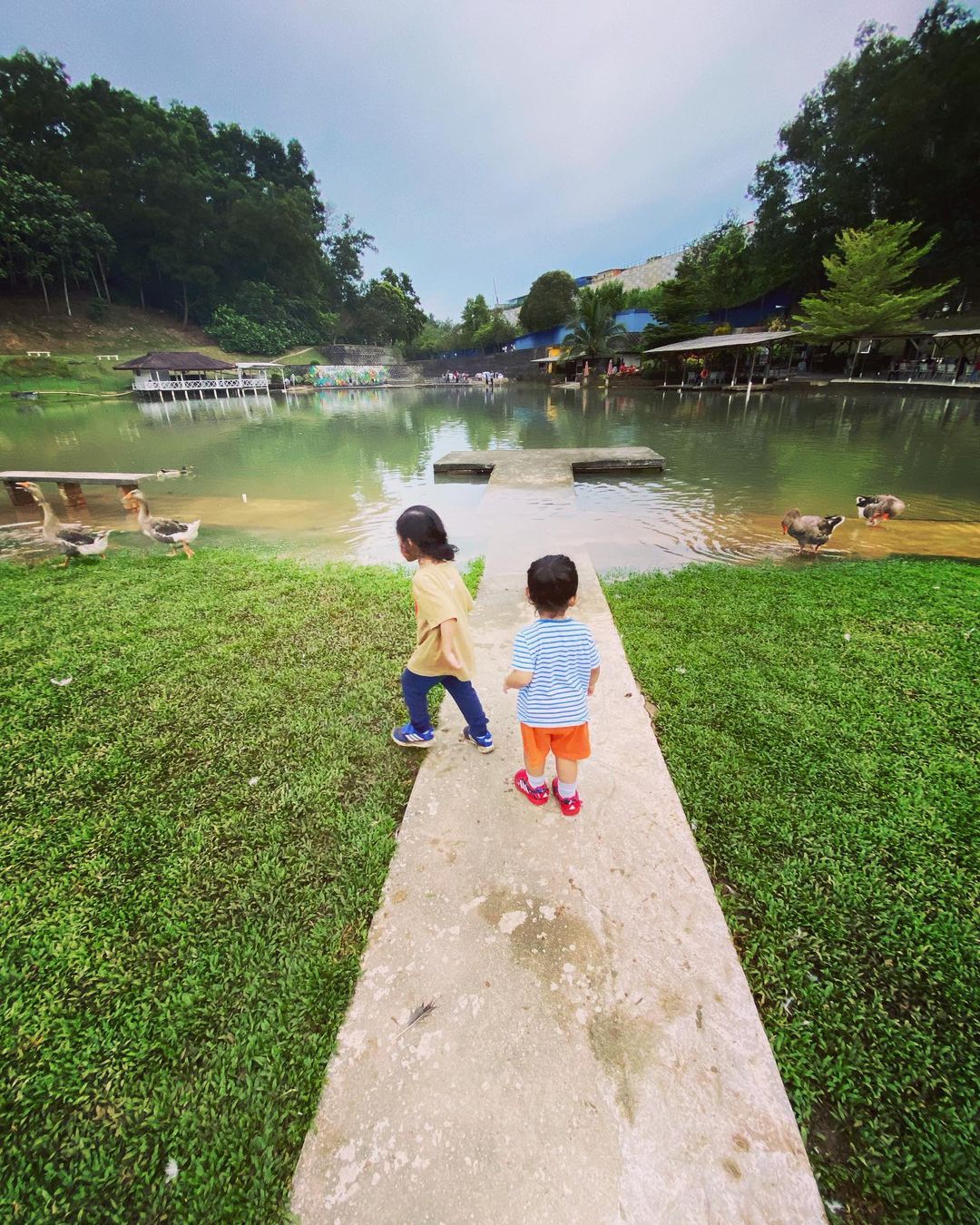 Kunjungi Bukit Jelutong Eco Community di Shah Alam, Tempat Terbaik ...
