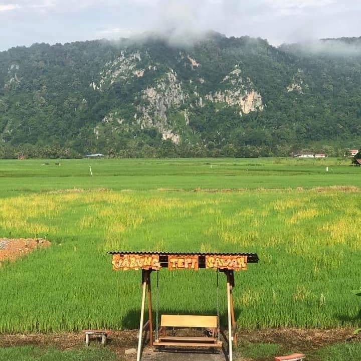 Warung Tepi Sawah Perlis: Nikmati Hidangan Istimewa di Pinggir Sawah ...