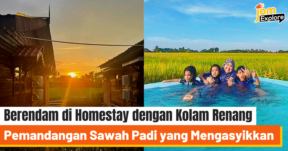 Asean Homestay - Pengalaman Menikmati Hidup Kampung di Tengah Sawah Padi