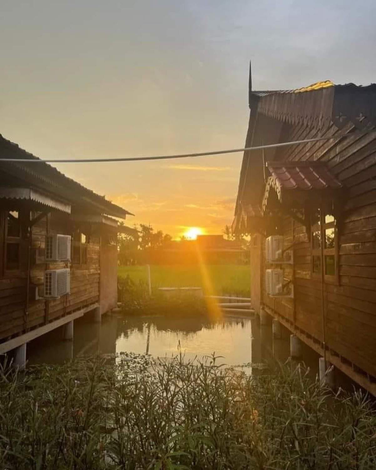 Asean Homestay - Pengalaman Menikmati Hidup Kampung di Tengah Sawah Padi