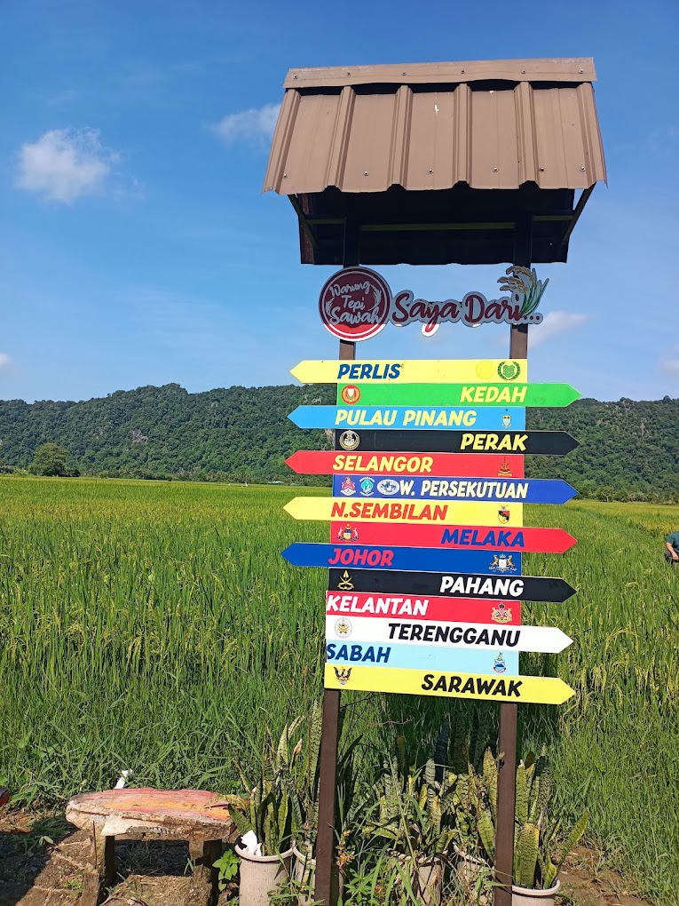 Warung Tepi Sawah Padi Hidang Sarapan Paling Sedap Di Perlis