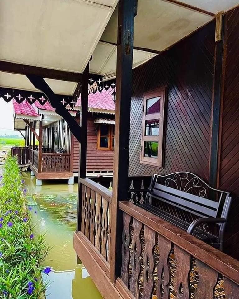 Asean Homestay - Pengalaman Menikmati Hidup Kampung di Tengah Sawah Padi