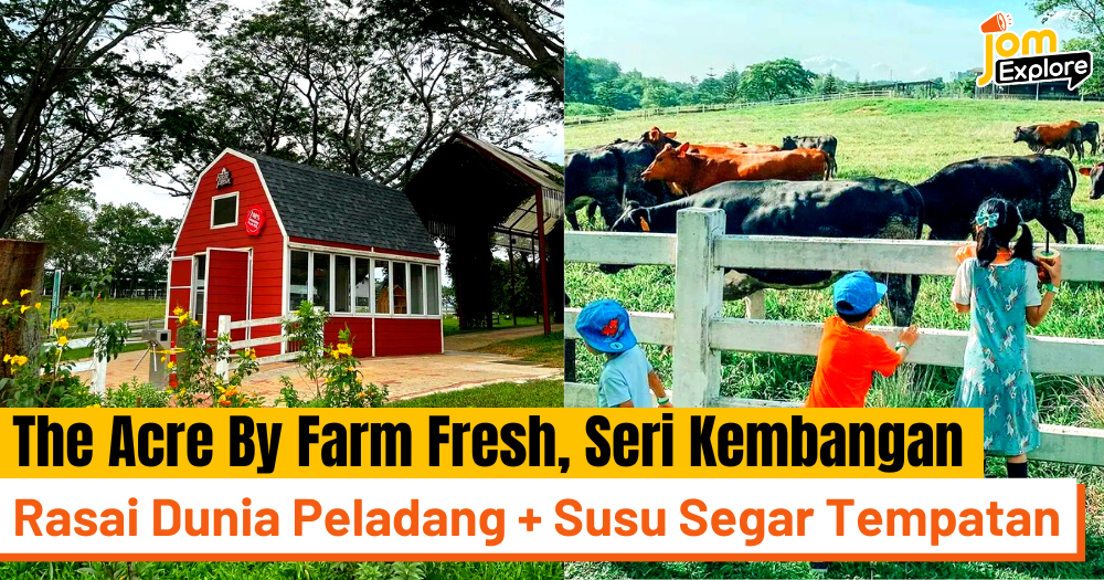 Pengalaman Menjadi Petani di The Acre by Farm Fresh, Seri Kembangan | Jom Explore
