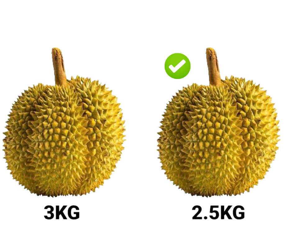 Tips Memilih Durian yang Enak dan Berkualiti: Panduan Lengkap untuk Pemula