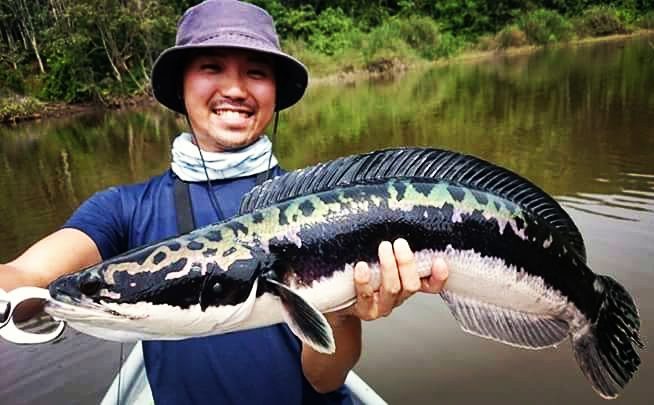 Pergi ke Mini Amazon Malaysia di Kampung Beng, Perak, Pengalaman Sungai ...