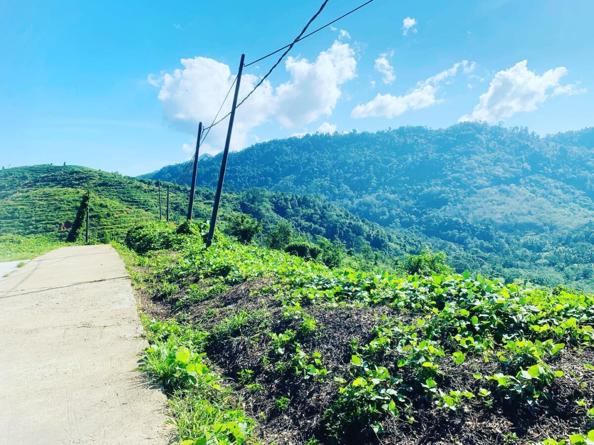 Terokai Keindahan Menenangkan di Bukit Salor, Destinasi Kegemaran ...
