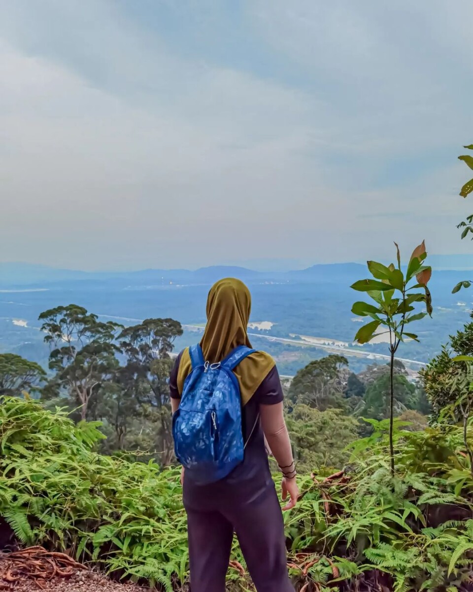 Mendaki Bukit Bauk Dengan Terokai Denai yang Menenangkan Mendaki Bukit ...