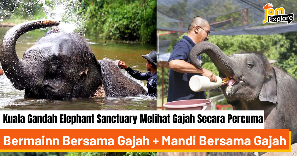 Jangan Tertipu Dengan Namanya Bukit Kutu, Ternyata Ketinggian Seperti ...